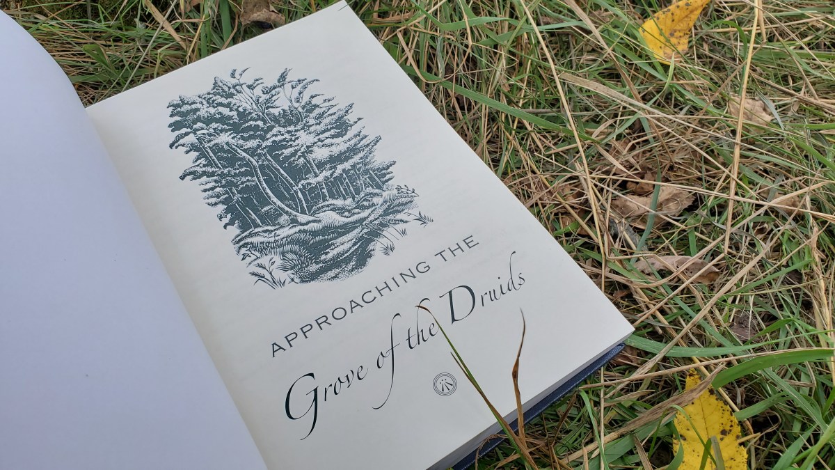 Review of the OBOD Druid Grade – Esoteric Moment